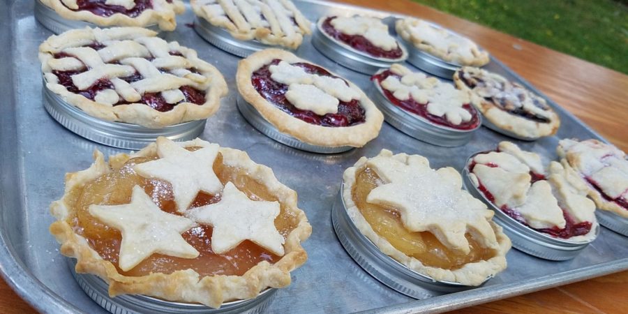 Confessions of a Woman Learning to Live | by Shari Zook